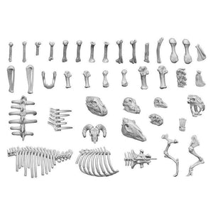 GSW Resin Basing Set - Animal Bones 1:48