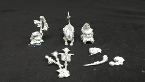 Age of Sigmar Skaven Plague Lord Nurglitch x1