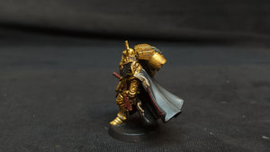Warhammer 40k Blood Angels Custom Commander Dante Stormcast Eternals x